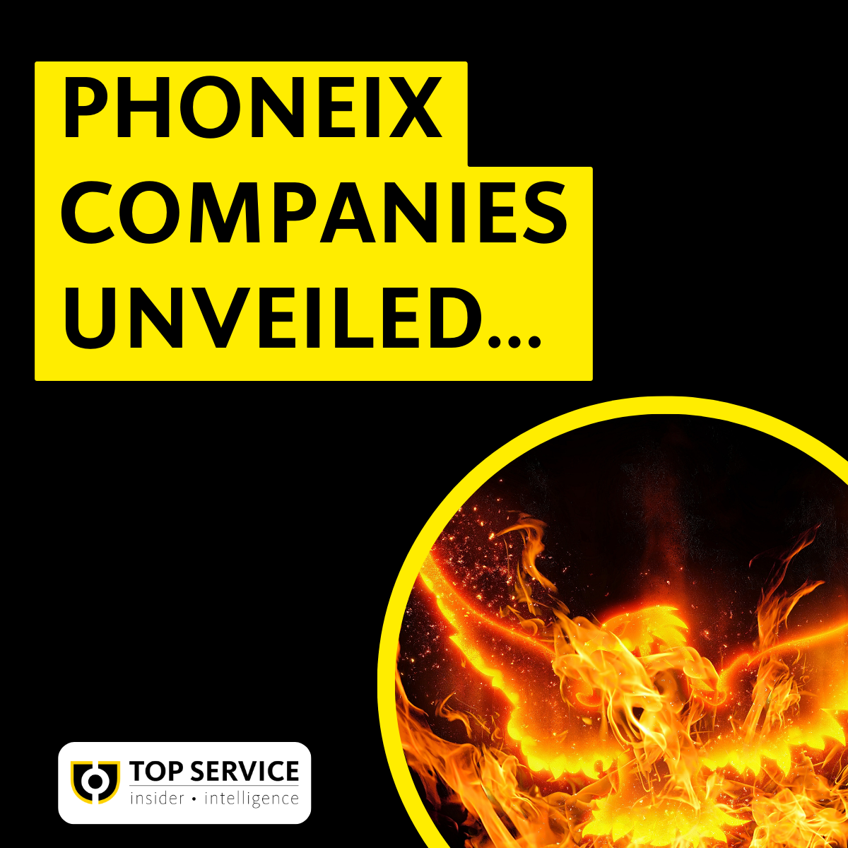 Phoenix Companies Unveiled • Top Service